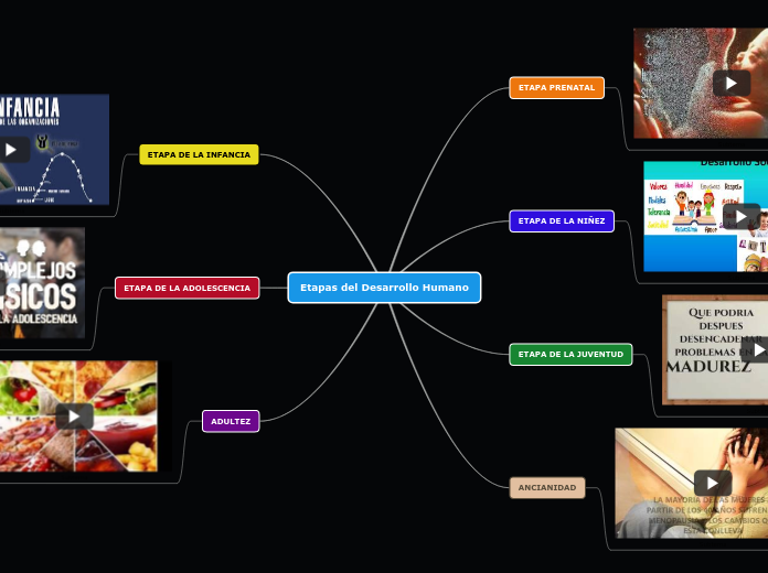 Etapas del Desarrollo Humano - Mind Map